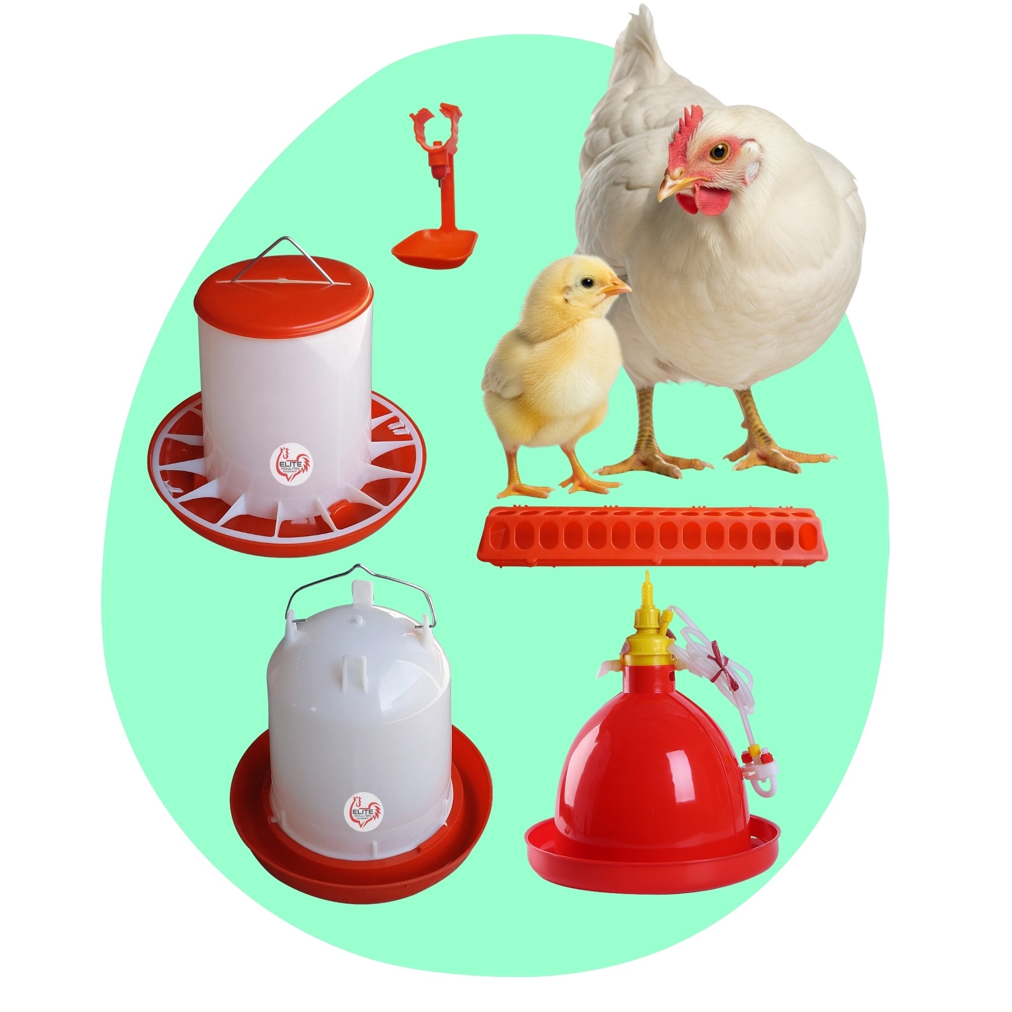 SureProcess™ Poultry Processing Equipment by Surehatch – Surehatch ...