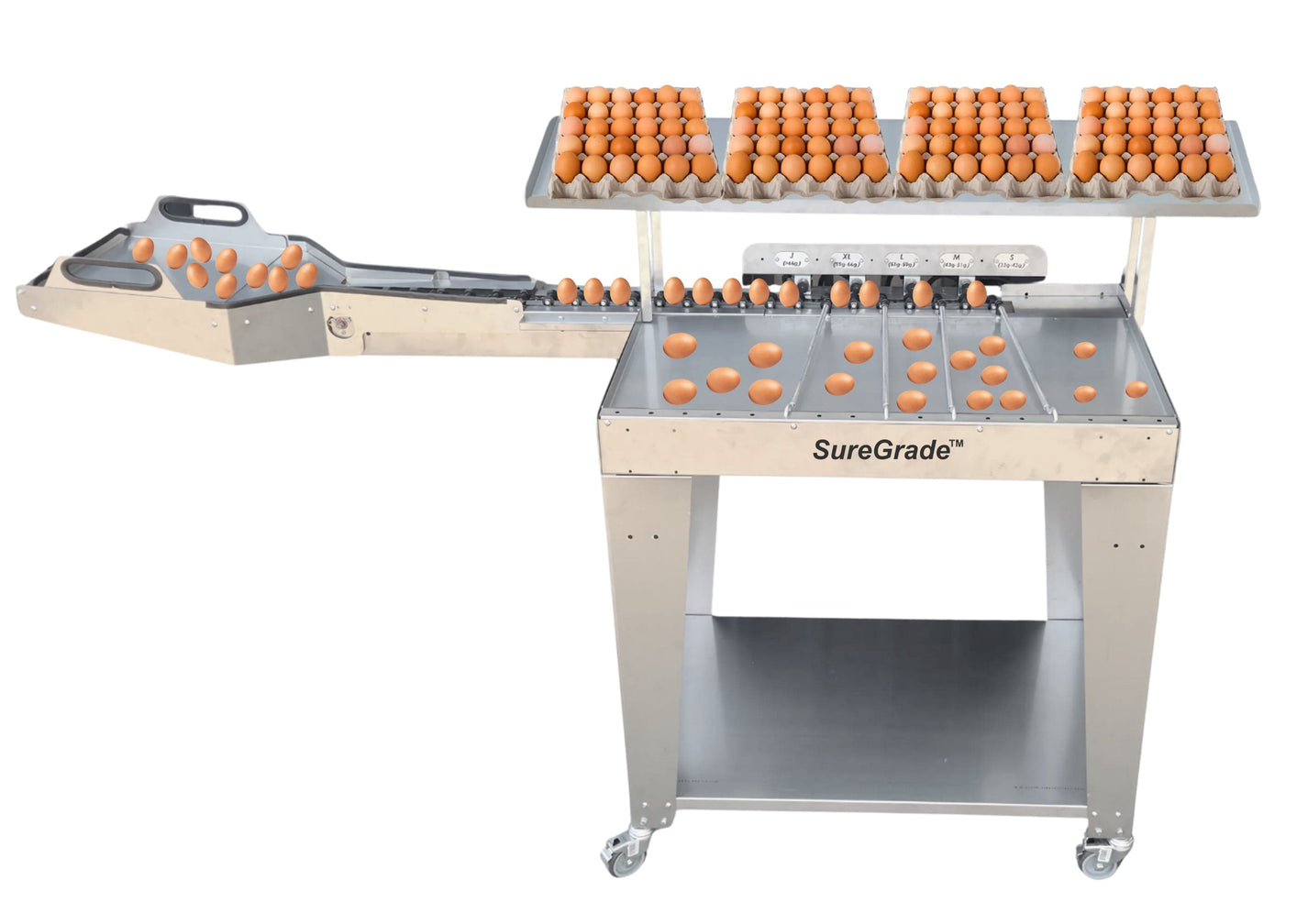SureGrade™ 3000 Egg Grader - Grade 3000 Eggs per hour – Surehatch ...