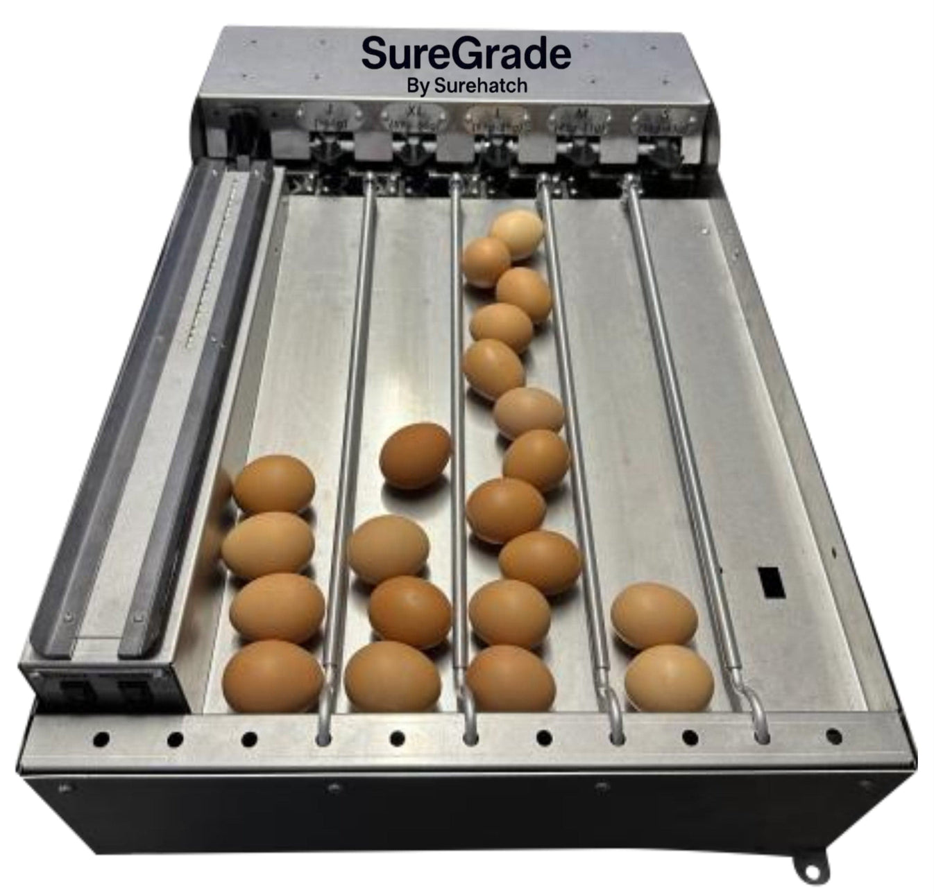 SureGrade™ 750 Egg Grader - Grade 750 Eggs per hour – Surehatch Poultry ...