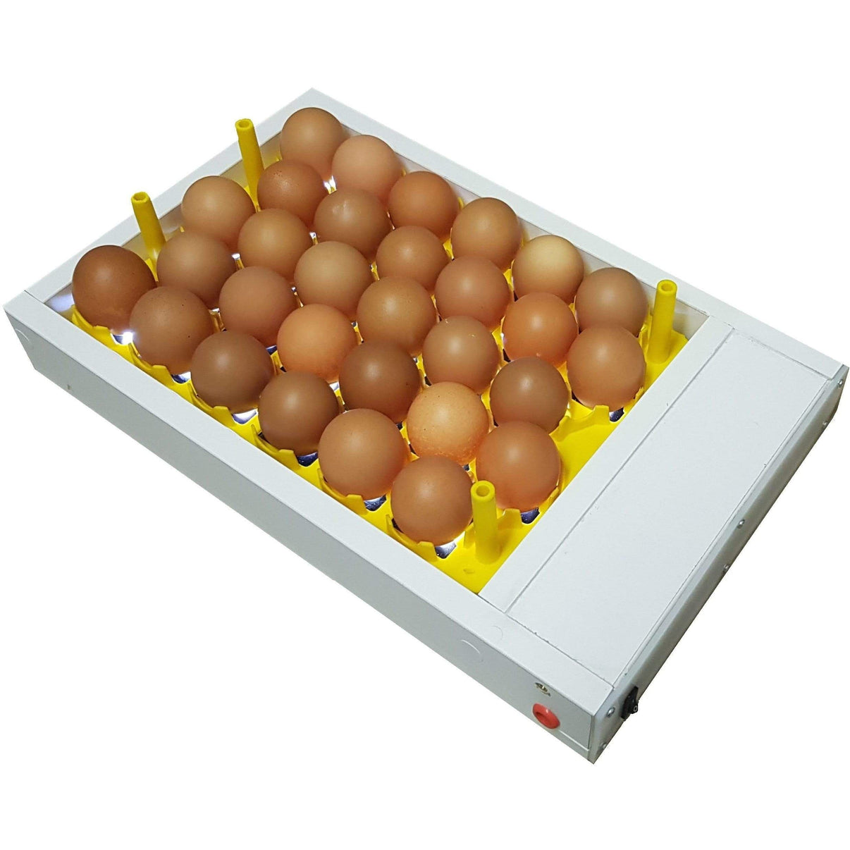 Egg Fertility Tester (Egg Candler) for 30 Chicken Eggs - SureView ...