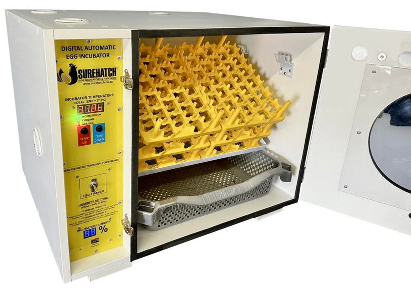 180 Egg Incubator and Hatcher - Fully Automatic Digital Model SH180 ...